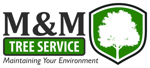 M&M Tree Care & Landscape Service | Brantford – M & M Tree Care ...